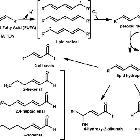 Structure Of The Tripeptide Reduced Glutathione Gsh Download
