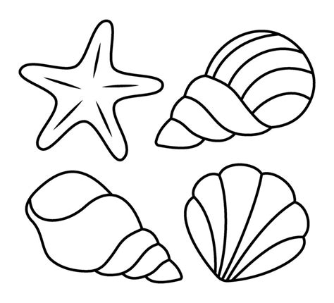 Beach Shells Drawings