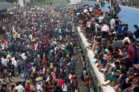 How Is Overpopulation Bad Why Is Overpopulation So Dangerous Iteg