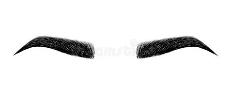 Eyebrow Stock Illustrations 35176 Eyebrow Stock Illustrations Vectors And Clipart Dreamstime