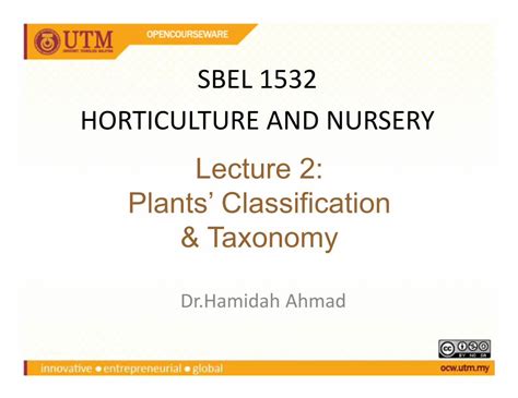 Pdf Lecture 2 Plants Classification And Taxonomyocwutmmyfilephp
