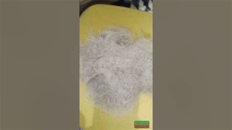 Полезный лайфхак что можно сделать из кошачьей шерсти Youtube