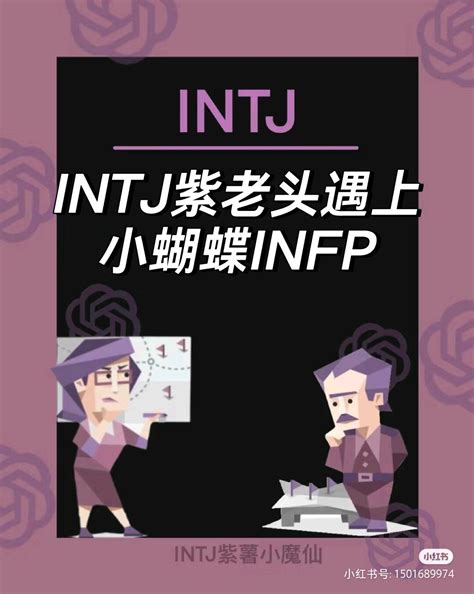 Intj紫老头遇上小蝴蝶infp 哔哩哔哩