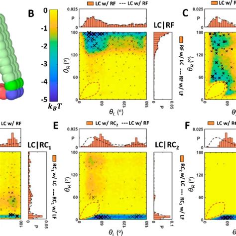 angular conformational space of the interacting arms a schematic of