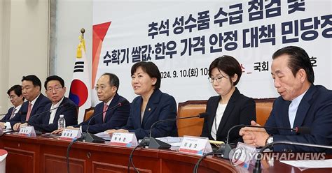 쌀·한우 가격 안정 대책 밝히는 송미령 농식품부 장관