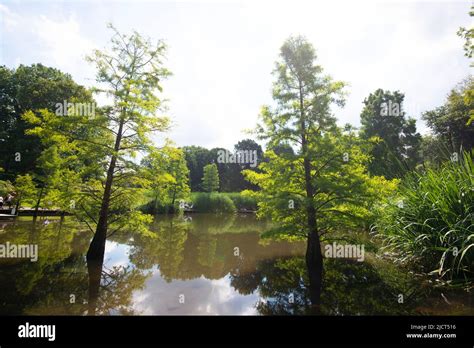 Gruga Park In Essen Germany Stock Photo Alamy