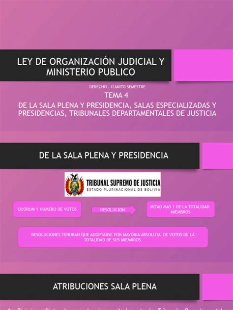 Ley Judicial Atribuciones Y Estructura Pdf