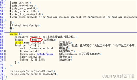 【解决】明明修改了nf的端口号，启动依然提示端口被占用nginx修改监听端口未生效 Csdn博客