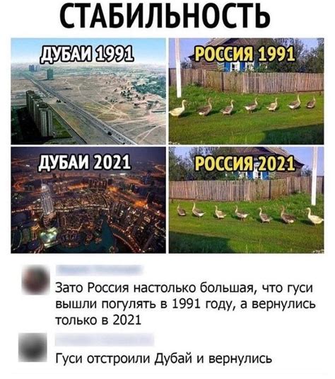 СТАБИЛЬНОСТЬ д _ Ь Россиядю Зато Россия настолько большая что гуси ...