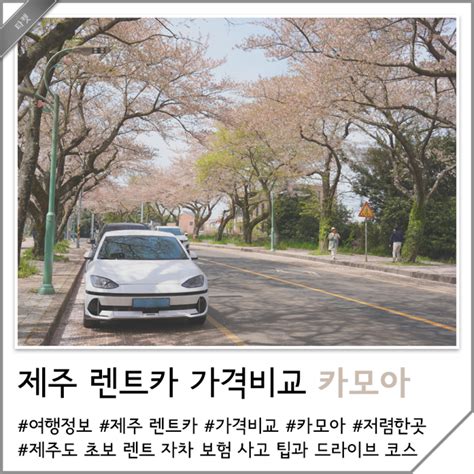 제주 렌트카 저렴한 카모아 제주도 렌트카 추천 초보 운전 자차 보험 사고 팁 네이버 블로그 제주 렌트카 저렴한 카모아 제주도 렌트카 추천 초보 운전 자차 보험 사고 팁 네이버 블로그