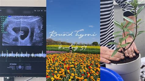 임신vlog 51 임신 9주차 일상브이로그 9주 태아 심장소리 전원주택 마당꾸미기 꽃시장 투어 창녕 낙동강 유채축제 임산부 브이로그 인형뽑기