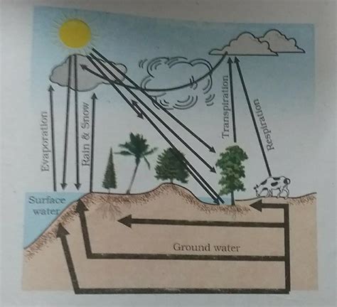 Water Cycle Class 9