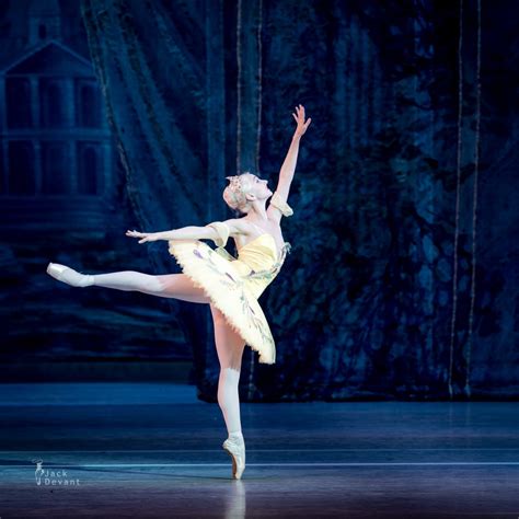 Sleeping Beauty by Kremlin Ballet