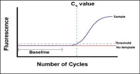 The Threshold Level And C Q Value On A Real Time Pcr Amplification Curve Download Scientific