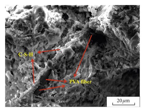 Microstructure Of The Pva Fiber In Concrete Download Scientific Diagram