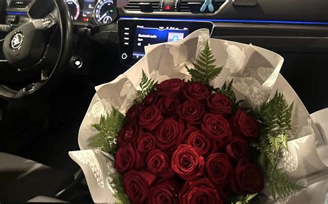 נג׳אם אבו שהאב