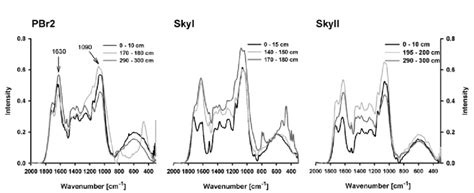Ftir Spectra Of Peat Samples From The Three Bogs In Different Depths