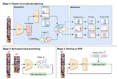 Cluster Level Pseudo Labelling For Source Free Cross Domain Facial