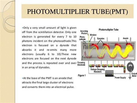 Gamma Camera