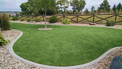 Best Grass For Denver Colorado At Adolph Grier Blog