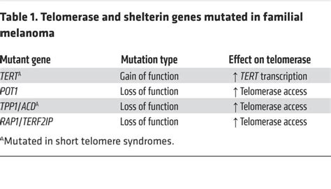 Jci Long Telomeres And Cancer Risk The Price Of Cellular Immortality