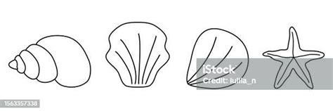 다른 조개껍데기와 바다 별이 연속으로 나타나고 색칠하기 책을 위한 낙서 스타일의 플랫 벡터 윤곽선 불가사리류에 대한 스톡 벡터 아트 및 기타 이미지 Istock