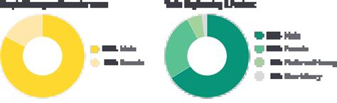 About Us History Mission And Values Of Codility