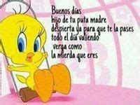 78 Ideas De Piolin Memes Divertidos Imágenes Graciosas Piolin