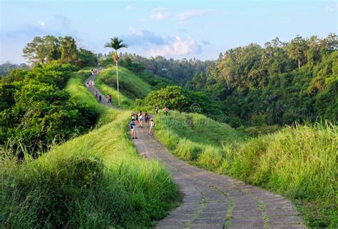 Campuhan Ridge Walk Sunset Valle Verde Scenica In Ubud Bali Fotografia