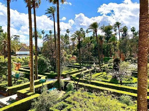 Apartamentos Rivero 8 151 ̶1̶7̶2̶ Updated 2024 Prices And Specialty