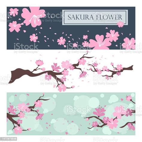 벚꽃 평면 벡터 사쿠라 일본 배경을 흐리게 합니다 사쿠라와 봄 현대 커버 디자인 세트 청첩장 메이크업 카탈로그 브로셔 템플릿