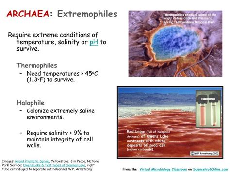 Ppt About Science Prof Online Powerpoint Resources Powerpoint