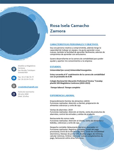 Isela Camacho Cv Pdf Business