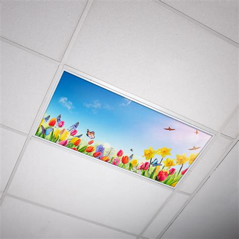 Tree Fluorescent Light Covers Classroom