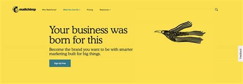 Mailchimp Tutorial 2019 Darrel Wilson