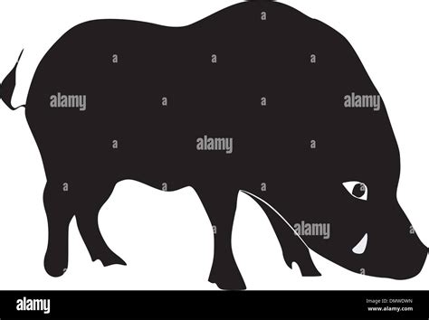 Illustration wildschwein Fotos und Bildmaterial in hoher Auflösung