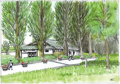 ポプラ並木水元公園 かつしかデジタル美術館