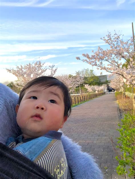 シロッコの桜・桜とコラボ・サクラと愛車・目指せpickupcarsに関するカスタム事例｜車のカスタム情報はcartune