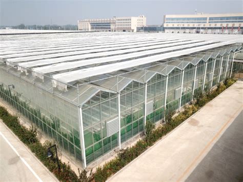 山东利森特农业科技有限公司连栋智能温室连栋薄膜温室阳光板温室保温拱棚