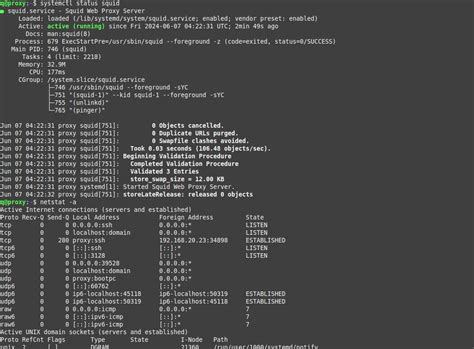 Anandu V P On Linkedin Proxysetup Internetsecurity
