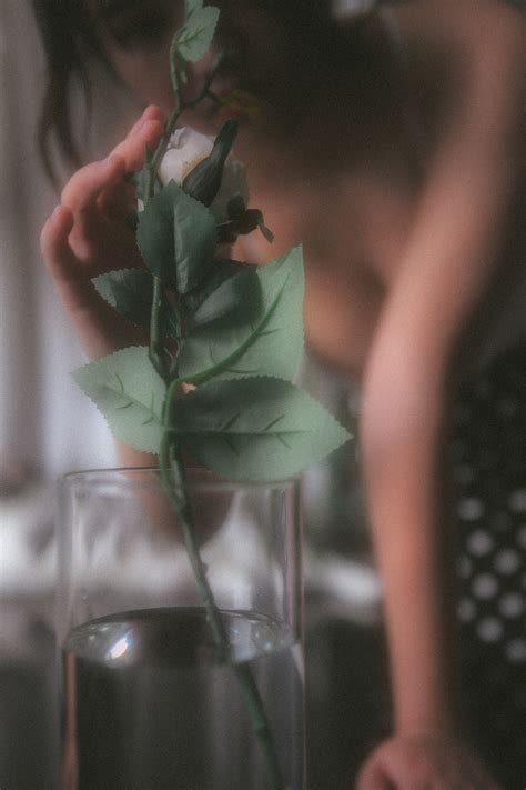 少女情怀总诗 on Behance