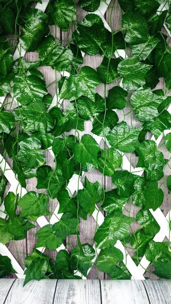 Купить Лианы искусственные декоративные растения Premium Лиана виноград Комплект 5 шт по