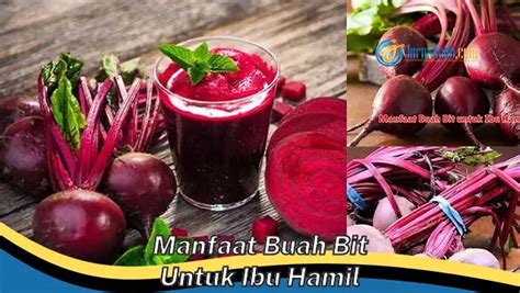 Manfaat Buah Bit Untuk Ibu Hamil Yang Bikin Penasaran