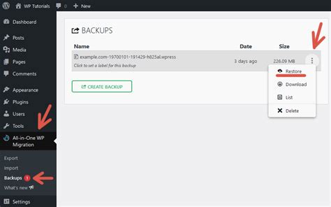 How To Restore A Wordpress Website From A Backup Using All In One Wp