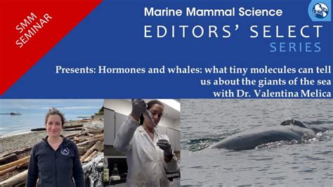 Smm Seminar Editors Select Series What Tiny Molecules Can Tell Us