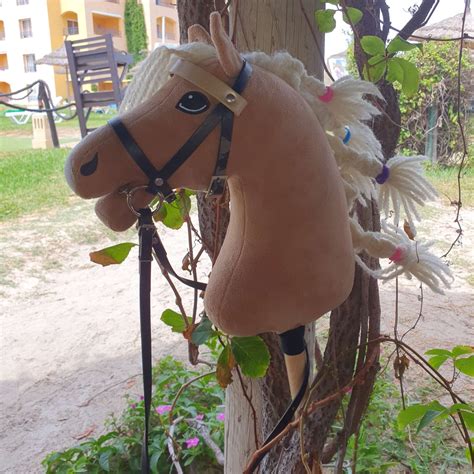 Fragen Und Antworten Rund Um Hobby Horsing Hobby Horsing Magazin