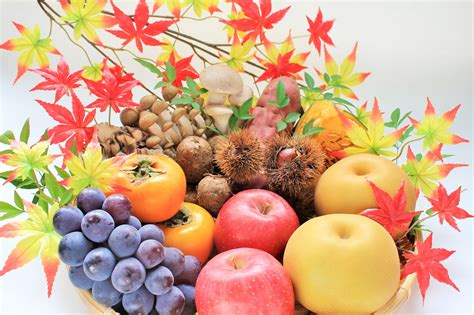 食欲の秋到来！今食べたい旬の食材の魅力とは？ タスカジプラス