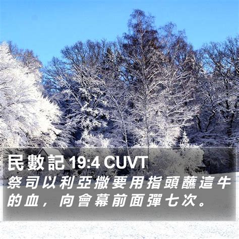 民 數 記 19 4 CUVT 祭 司 以 利 亞 撒 要 用 指 頭 蘸 這