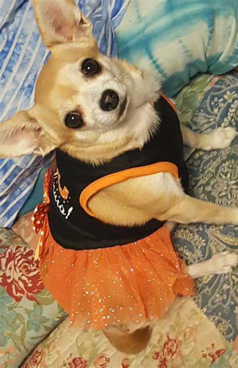 Pin De Gloria Fraker En Lola Emma Roxy And Blanca