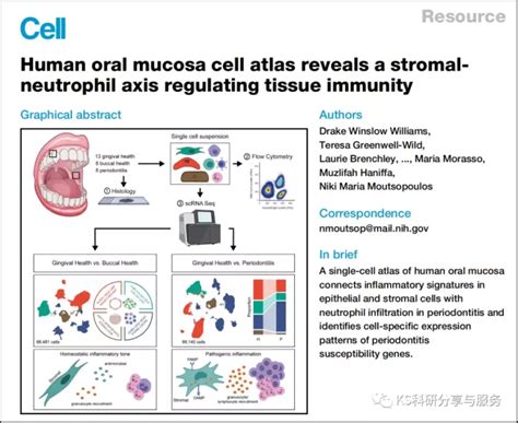 从cell学单细胞转录组分析 一 开端！！！ 知乎